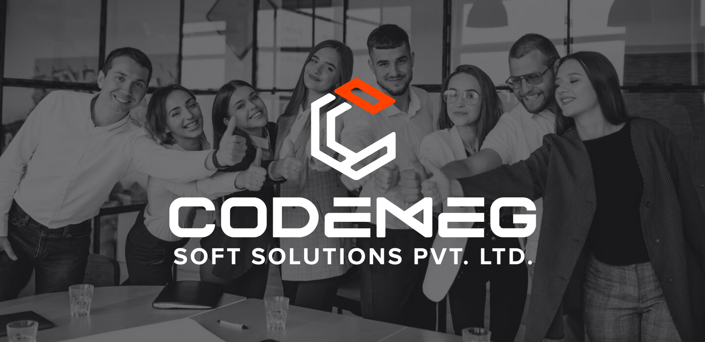 Expert Career Guidance for Business Growth - Codemeg Soft!